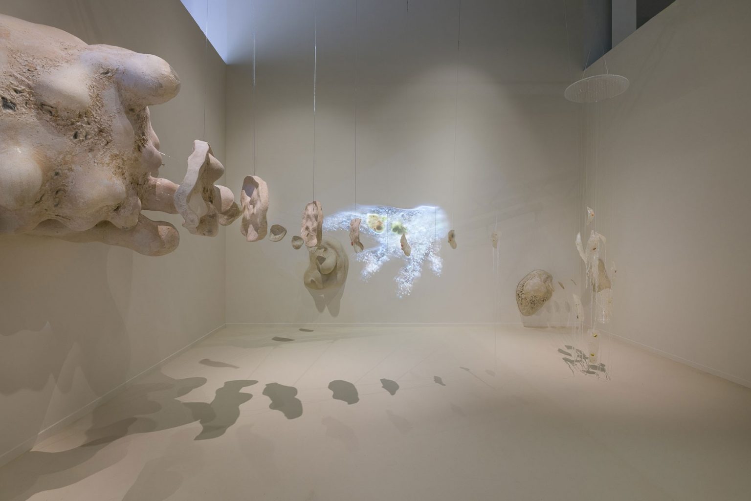 Exhibition Opening - Sonja Bäumel: Animated Bodies (Vienna)