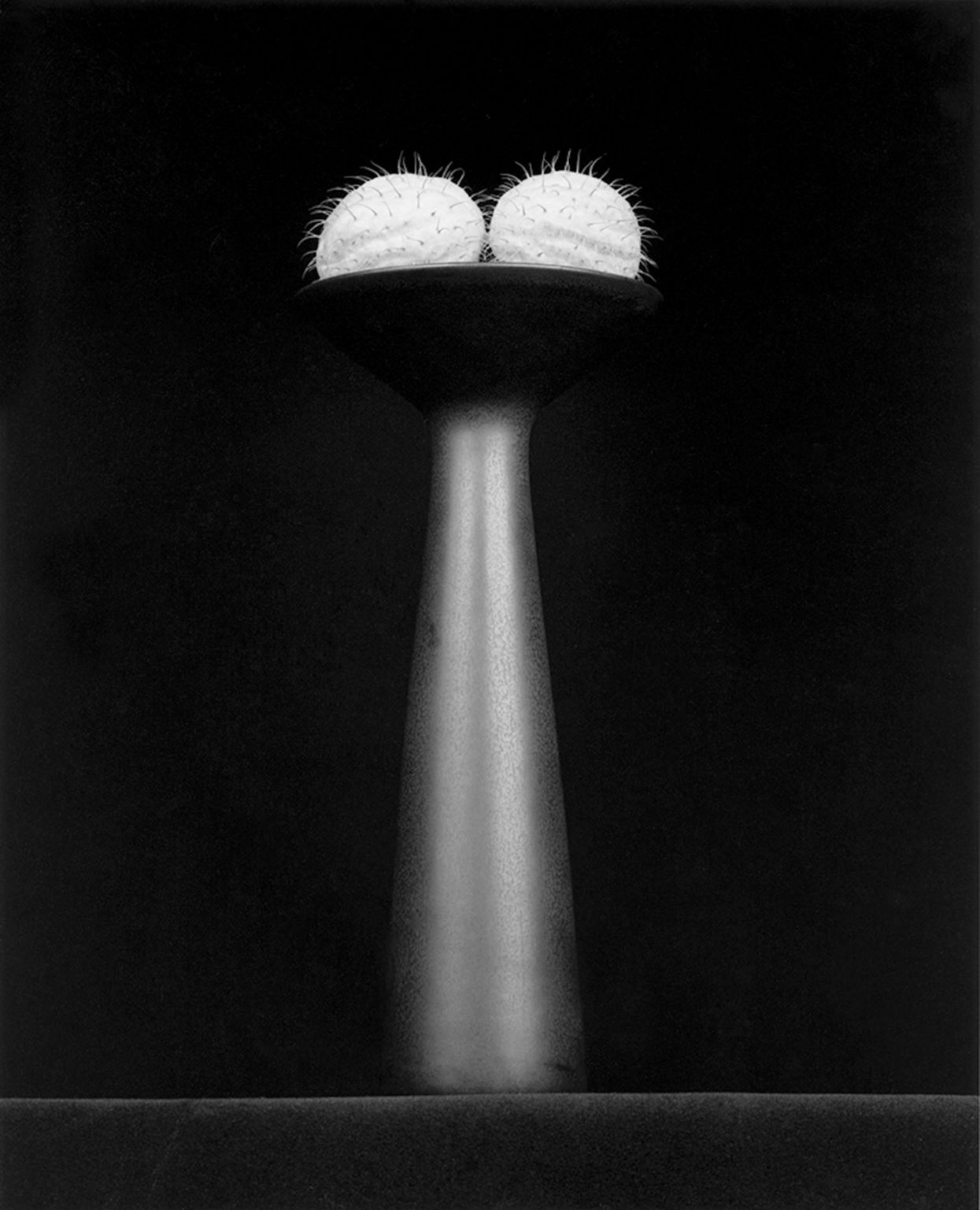 Exhibition Opening - Robert Mapplethorpe: Behold the lowly Vessel (Berlin)